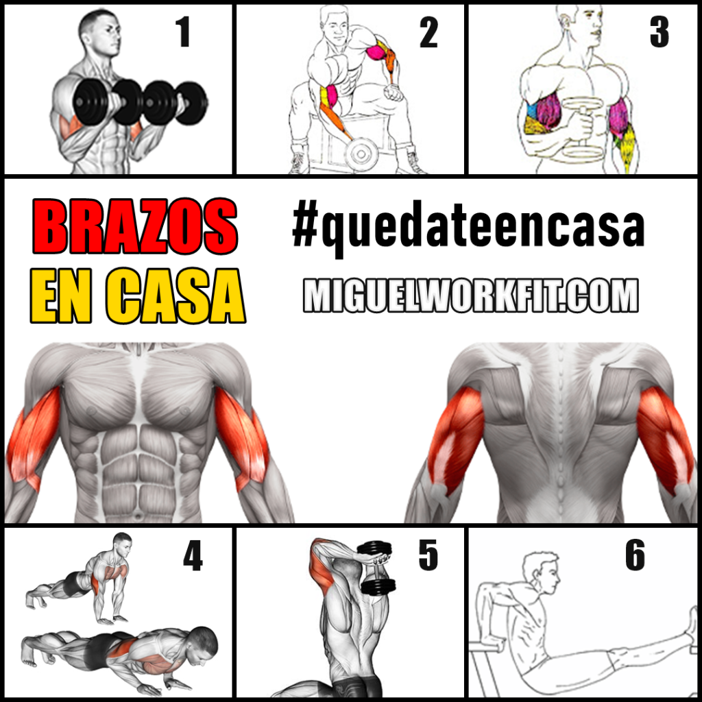 Rutina de ejercicios efectiva para desarrollar tus bíceps desde casa ...